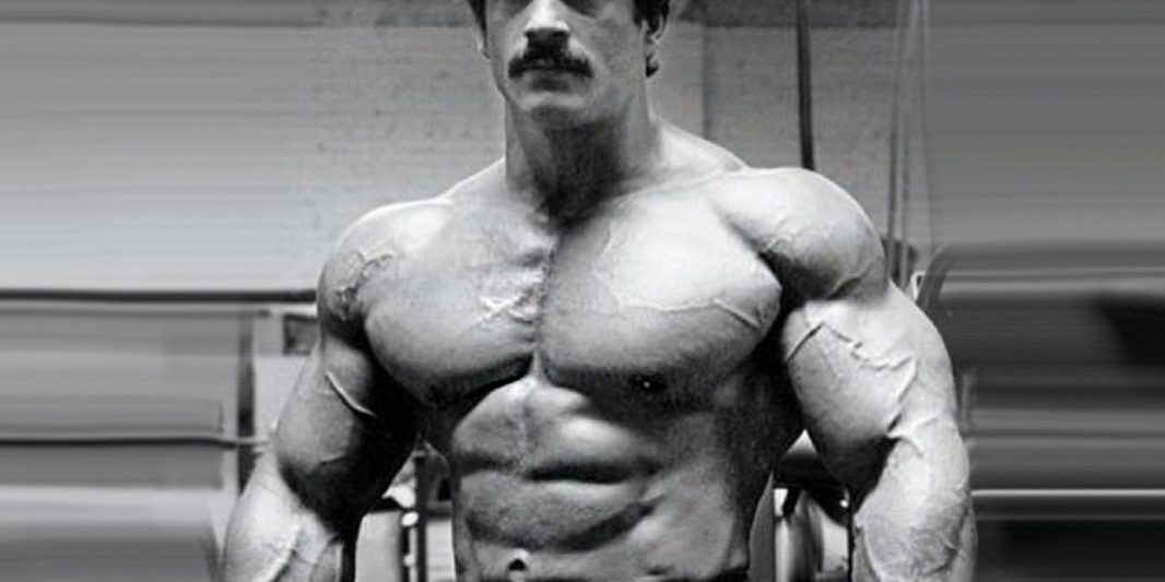 A Quick Overview of Equipoise | Premiosprincipe.com